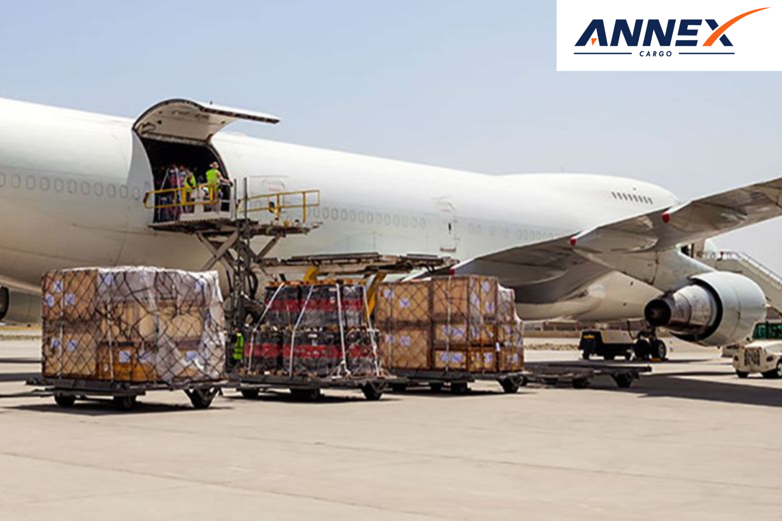 SPECIALIZED SERVICES – ANNEX Cargo